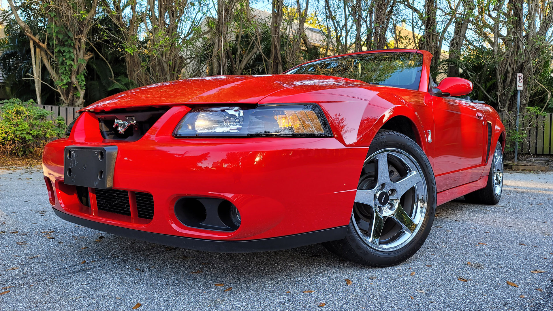 2004 Ford Mustang SVT Cobra - Limited Edition Motorcars