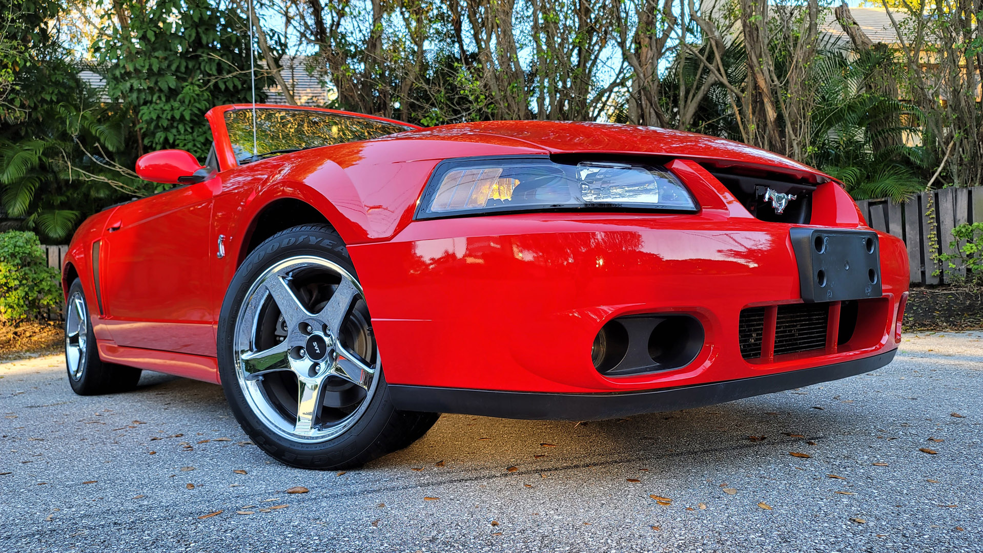 2004 Ford Mustang SVT Cobra - Limited Edition Motorcars