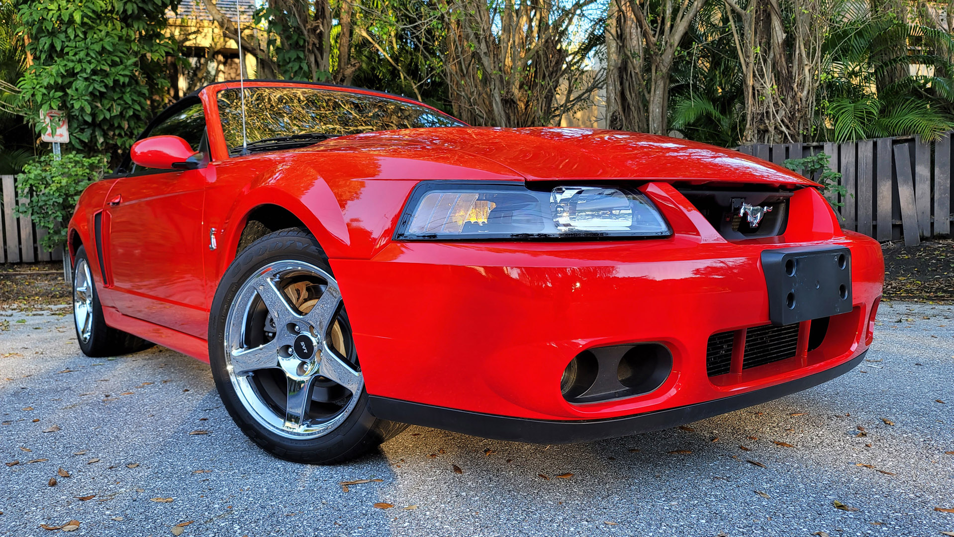 2004 Ford Mustang SVT Cobra - Limited Edition Motorcars