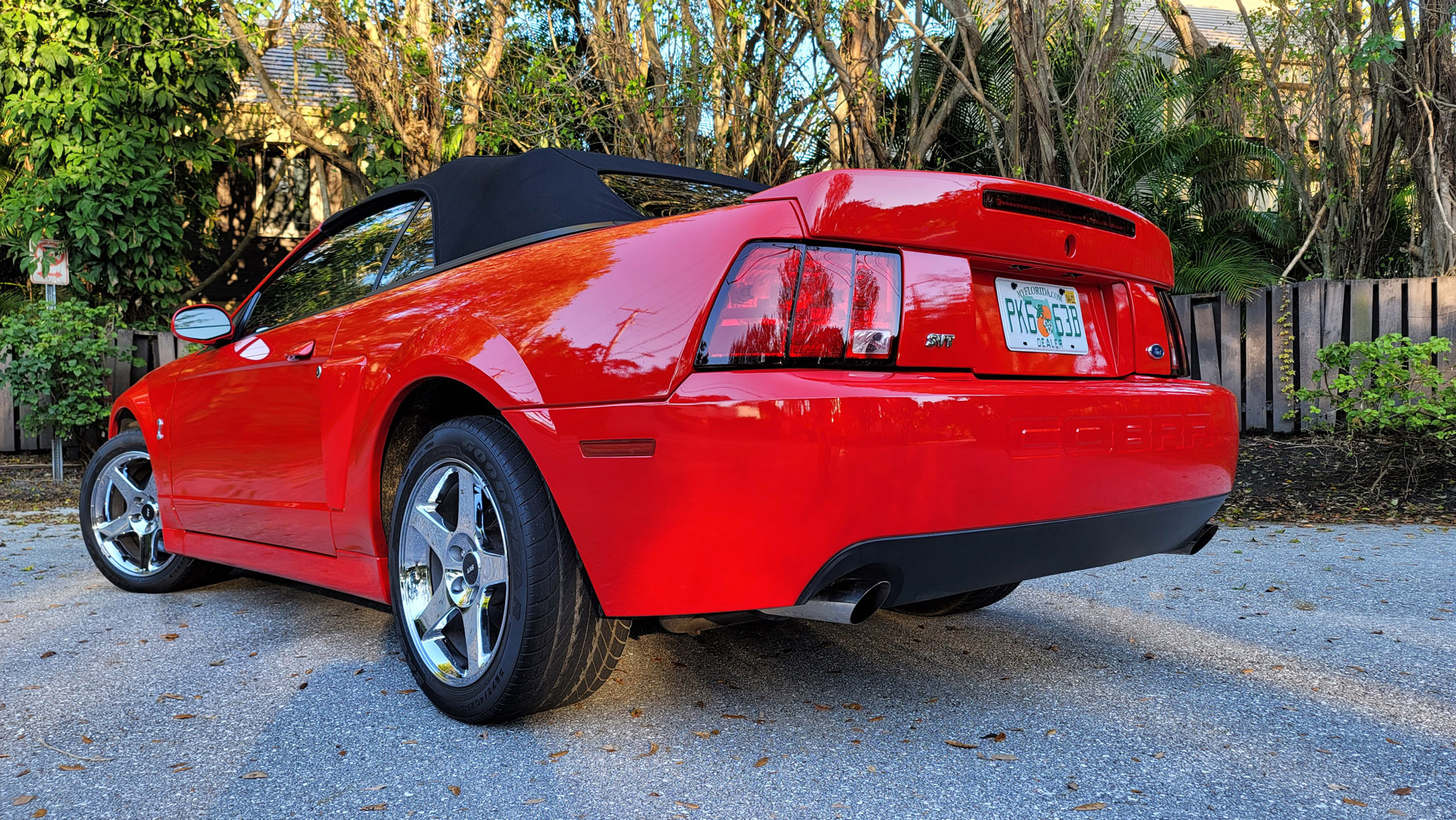 2004 Ford Mustang SVT Cobra - Limited Edition Motorcars