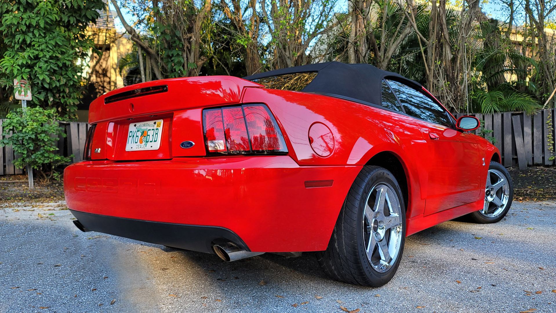 2004 Ford Mustang SVT Cobra - Limited Edition Motorcars